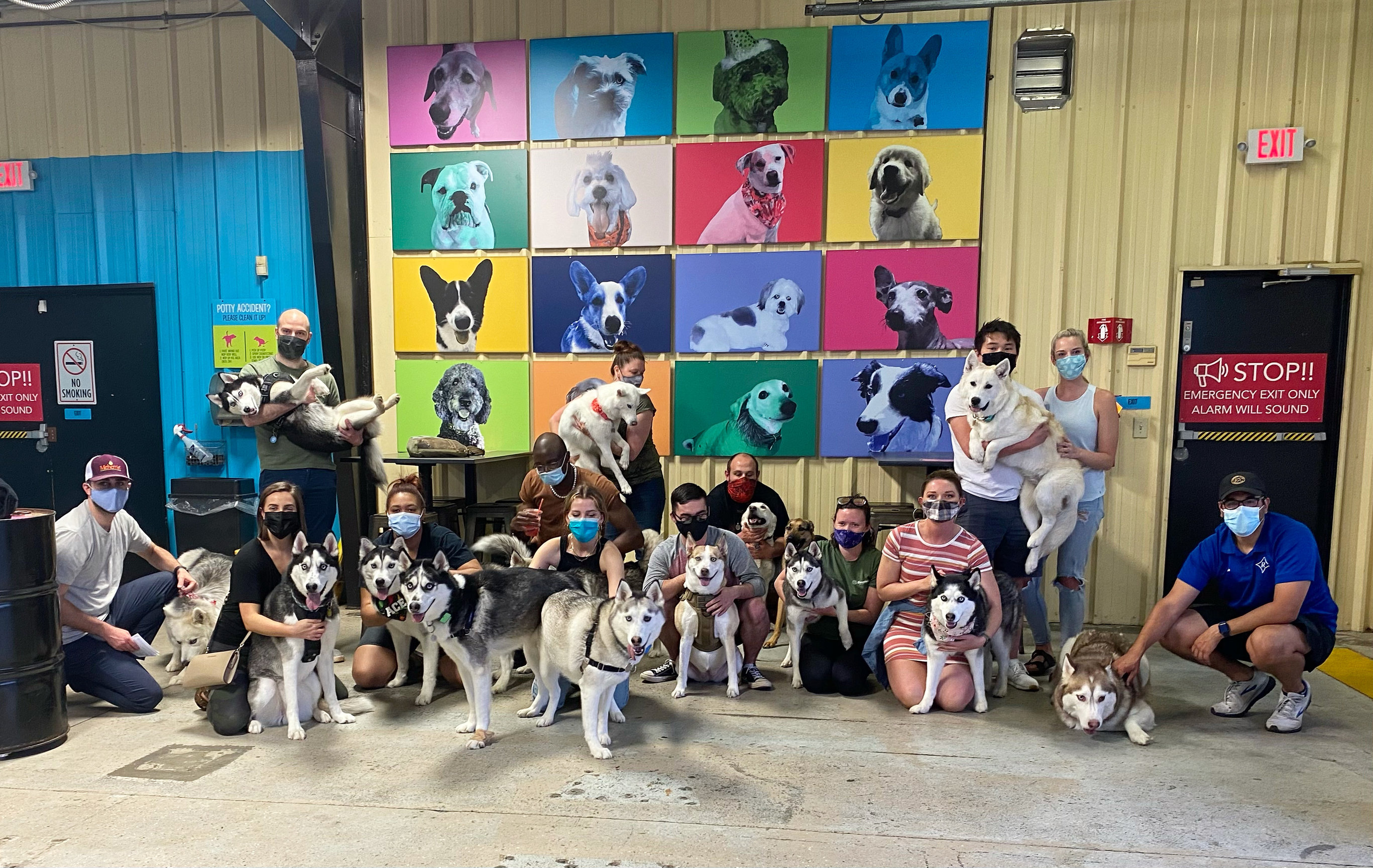 Rufferee - Doggos Dog Park and Pub