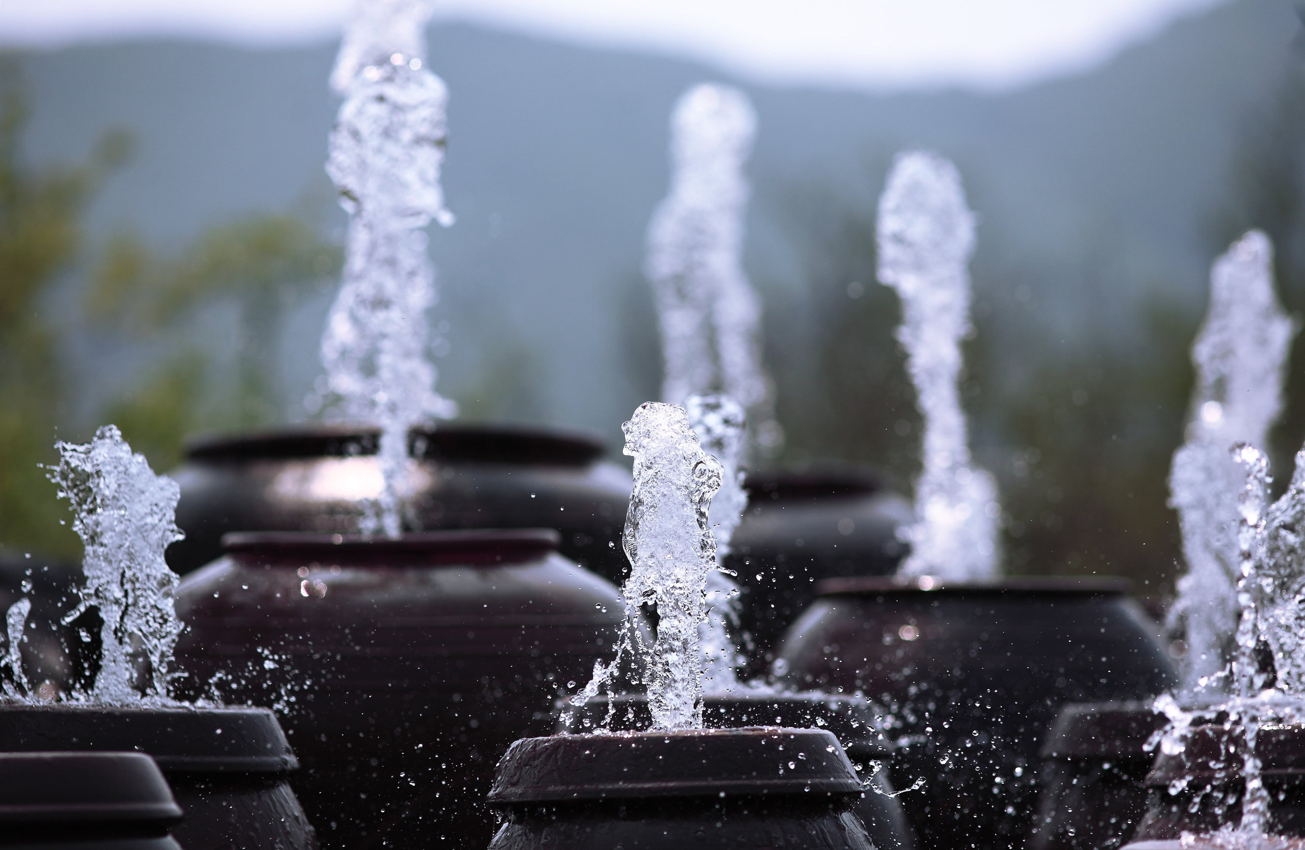 Add a Water Feature to Your Garden with a Container Fountain